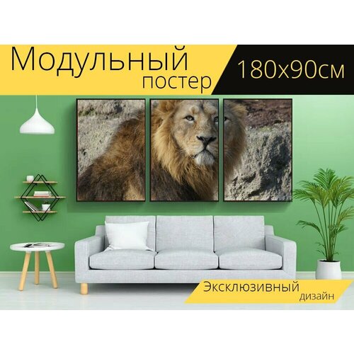 Модульный постер "Лев, мужской, царь зверей" 180 x 90 см. для интерьера