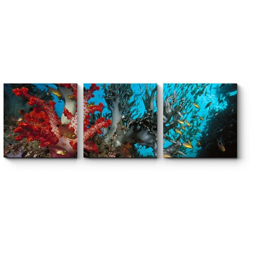 Модульная картина Подводный пейзаж 150x50