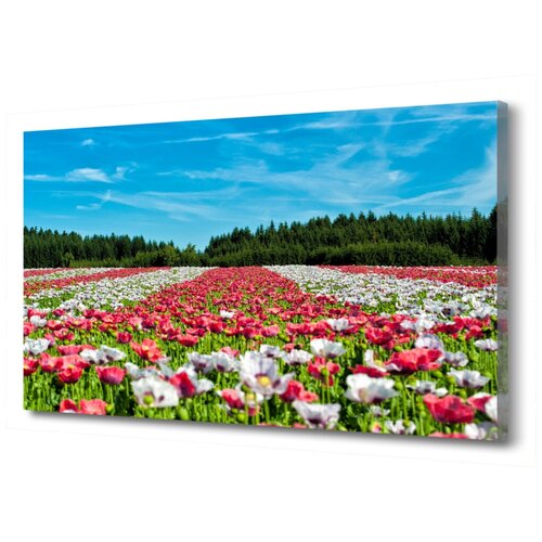 Картина на холсте "Цветочное поле" PRC-974 (45x30см). Натуральный холст