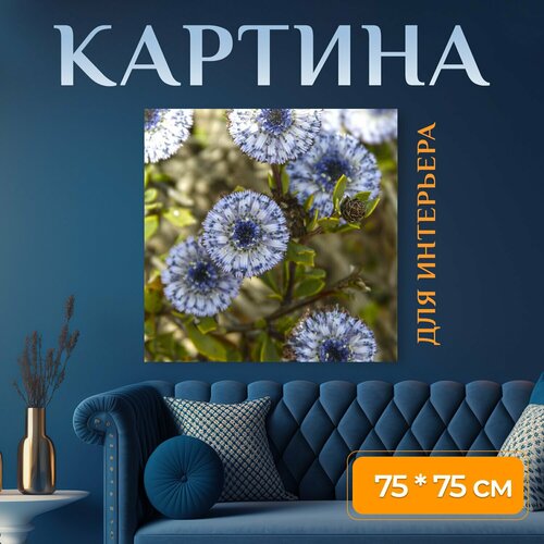 Картина на холсте "Лесной цветок, сирень, синий" на подрамнике 75х75 см. для интерьера