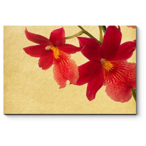 Модульная картина Красные орхидеи60x40