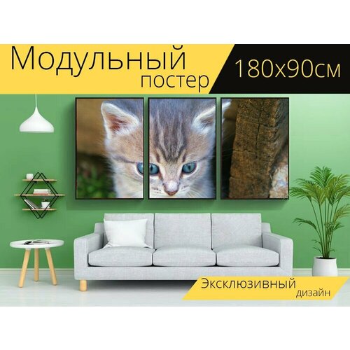 Модульный постер "Котенок, звери, грусть" 180 x 90 см. для интерьера