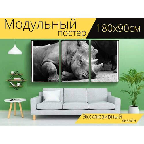 Модульный постер "Носорог, животные, зоопарк" 180 x 90 см. для интерьера