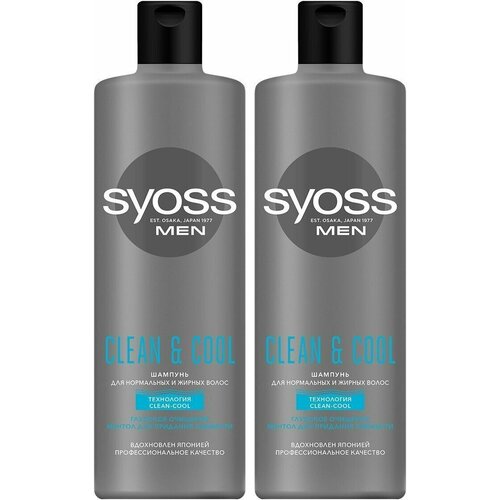 Шампунь, Syoss Men, Clean&Cool, глубокое очищение, для нормальных и жирных волос, 450 мл, 2 шт