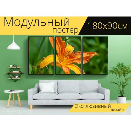 Модульный постер "Лили, цветок, журчалки" 180 x 90 см. для интерьера