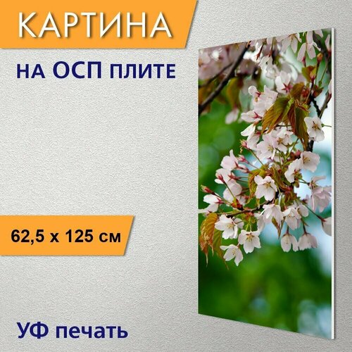 Вертикальная картина на ОСП "Цветок, весна, вишни" 62x125 см. для интерьериа