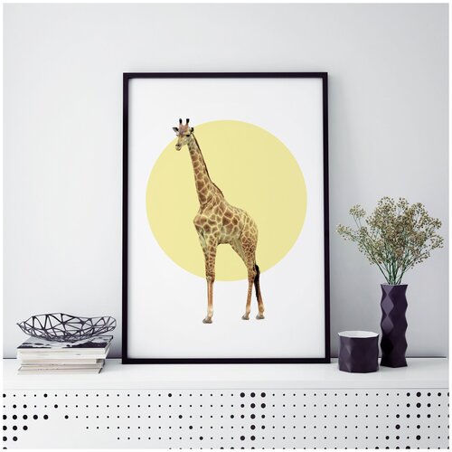 Постер / Плакат / Картина на холсте Жираф 40x50 см в подарочном тубусе