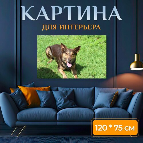 Картина на холсте "Собака, улыбка, лужайка" на подрамнике 120х75 см. для интерьера