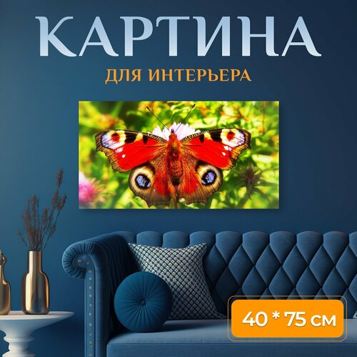 Картина на холсте "Фея павлин, насекомое, бабочки дневные" на подрамнике 75х40 см. для интерьера