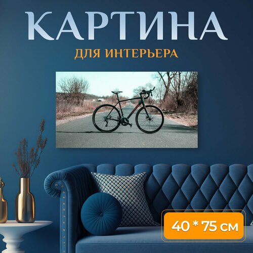 Картина на холсте "Велосипед, путь, асфальт" на подрамнике 75х40 см. для интерьера