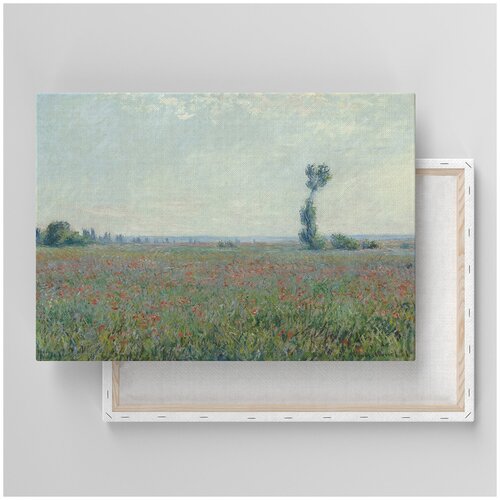 Картина на холсте с подрамником / Monet Claude - Poppy Field / Клод Моне