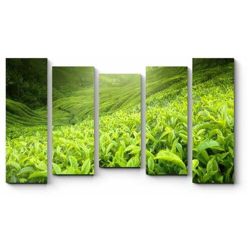 Модульная картина Бескрайняя зелень полей 190x114