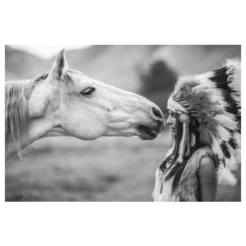 Плакат, постер на бумаге horse kiss/Поцелуй лошади. Размер 60 х 84 см