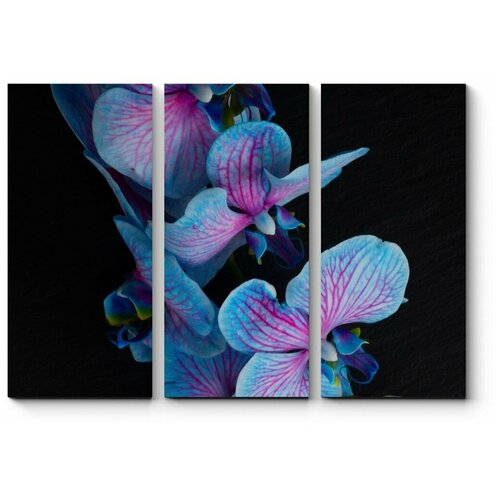 Модульная картина Голубая орхидея100x72