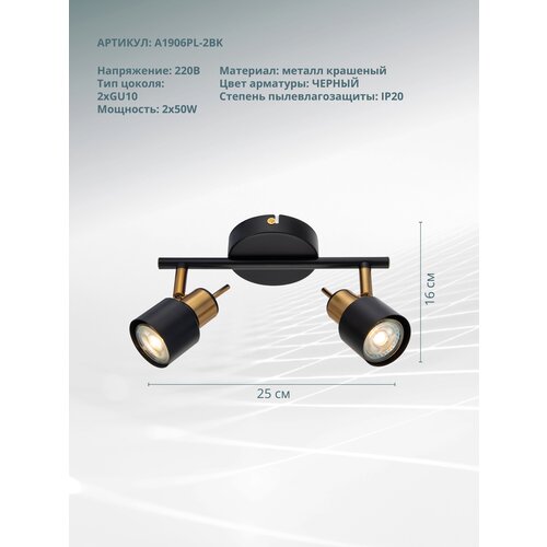 Спот Arte Lamp ALMACH A1906PL-2BK