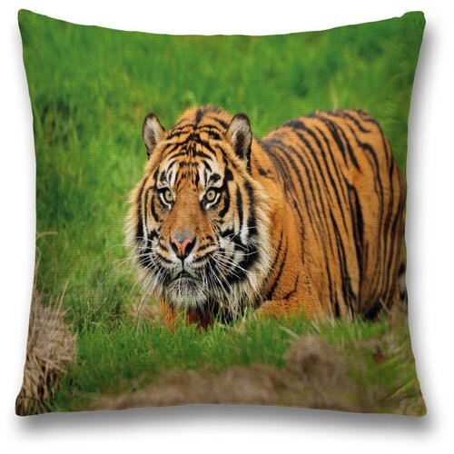 Наволочка декоративная на молнии, чехол на подушку JoyArty "Тигр в траве" 45х45 см