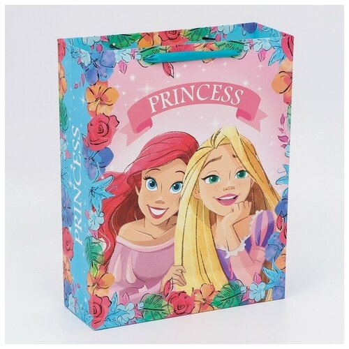 Disney Пакет подарочный "Princess", Принцессы, 31х40х11,5 см