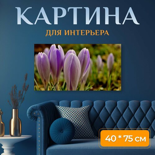 Картина на холсте "Крокус, цветок, весна" на подрамнике 75х40 см. для интерьера