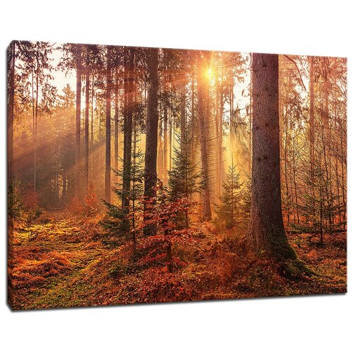 Картина Уютная стена "Волшебство утреннего леса" 90х60 см