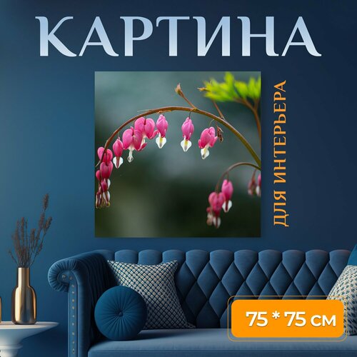 Картина на холсте "Полевой цветок, розовый, весна" на подрамнике 75х75 см. для интерьера
