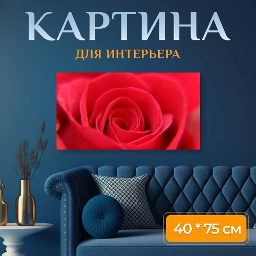 Картина на холсте "Красный, роза, цветок" на подрамнике 75х40 см. для интерьера