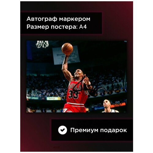 Постер с автографом Скотти Пиппен, игрок Чикаго Буллз, НБА, Баскетбол, А4, без рамы