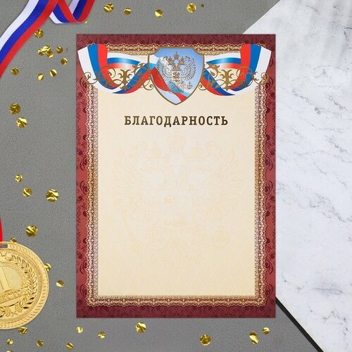 Благодарность "Символика РФ" коричневая рамка, бумага, А4 9499860