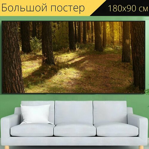Большой постер "Лес, деревья, солнечный свет" 180 x 90 см. для интерьера