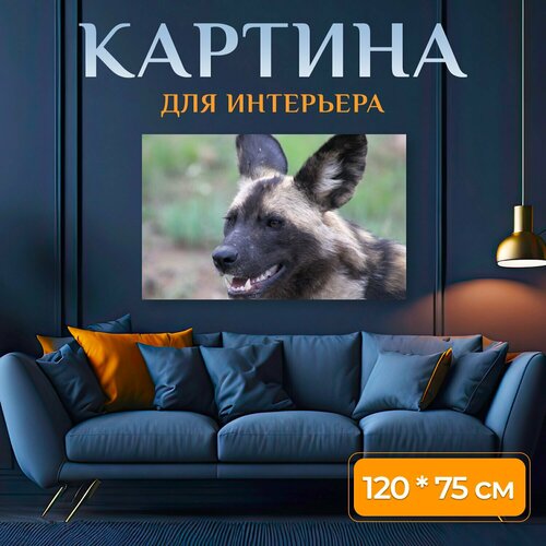 Картина на холсте "Дикая собака, природа, плотоядное животное" на подрамнике 120х75 см. для интерьера
