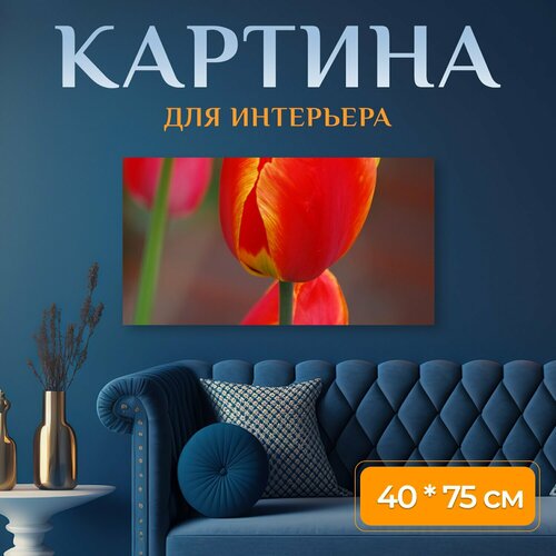 Картина на холсте "Тюльпан, завод, цветок" на подрамнике 75х40 см. для интерьера