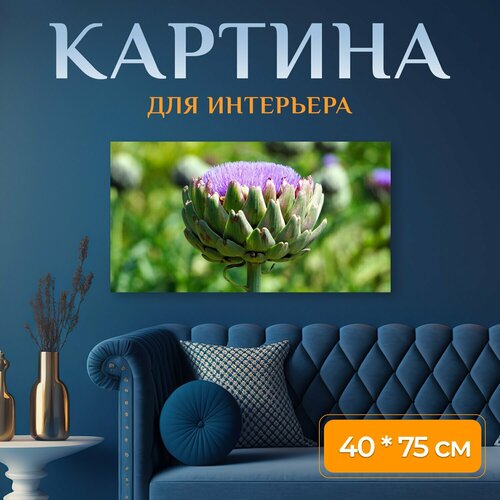 Картина на холсте "Артишоки, цвести, овощи" на подрамнике 75х40 см. для интерьера