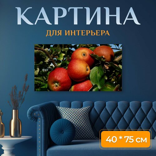 Картина на холсте "Яблоко, фрукты, красный" на подрамнике 75х40 см. для интерьера