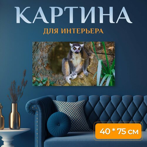 Картина на холсте "Лемур, животное, зоопарк" на подрамнике 75х40 см. для интерьера