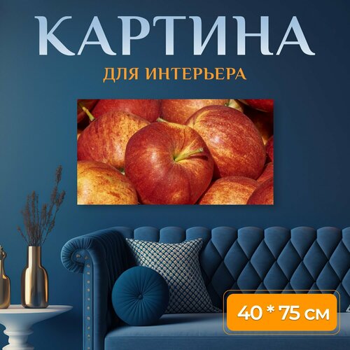 Картина на холсте "Яблоки, фрукты, красное яблоко" на подрамнике 75х40 см. для интерьера
