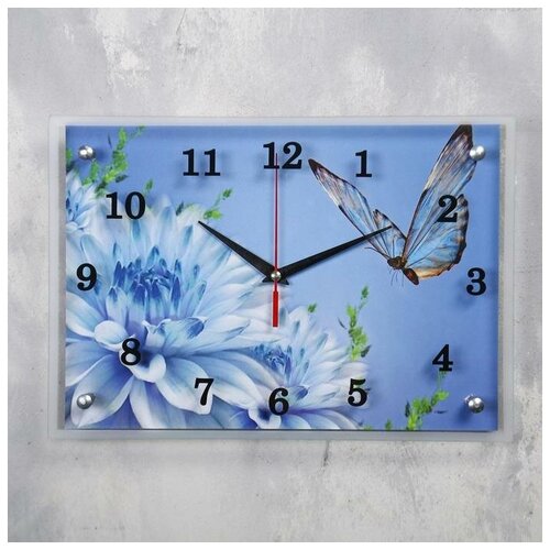 Сюжет Часы настенные, серия: Цветы, "Голубые цветы и бабочка", 25х35 см, микс