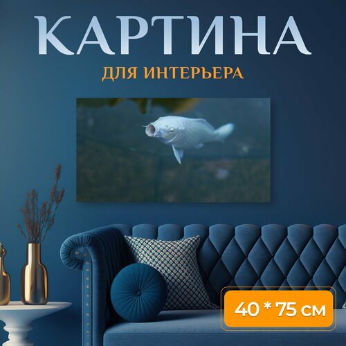 Картина на холсте "Рыбы, плавники, весы" на подрамнике 75х40 см. для интерьера
