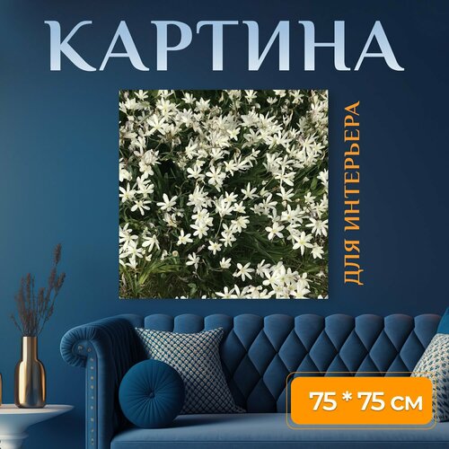 Картина на холсте "Цветок, цветочный, белый" на подрамнике 75х75 см. для интерьера