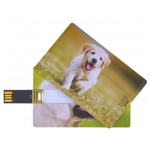 Подарочный USB-накопитель собака оригинальная флешка пластиковая карта 64GB