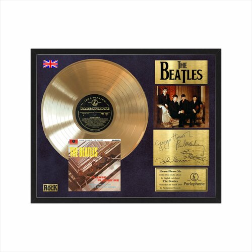 Картина The Beatles с диском 43х53