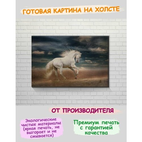 3D картина на холсте с подрамником на стену белая лошадь вечер песок синее небо постер