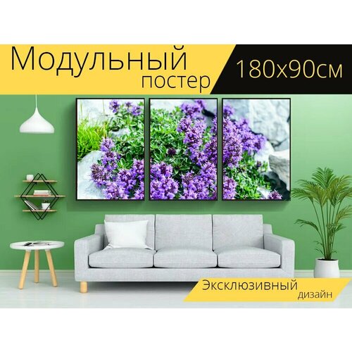 Модульный постер "Цветы, сиреневые цветы, цветы абхазии" 180 x 90 см. для интерьера