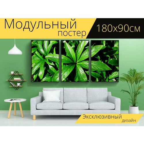 Модульный постер "Морозник, листья, зеленый" 180 x 90 см. для интерьера