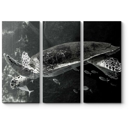 Модульная картина Морская черепаха140x100