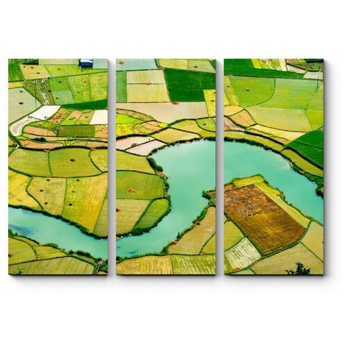 Модульная картина Рисовые поля Вьетнама 60x43