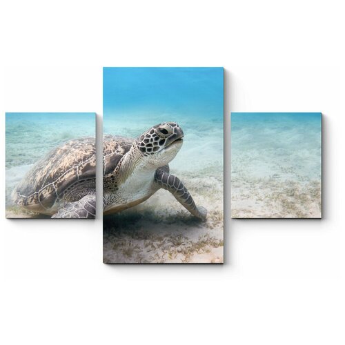 Модульная картина Чарующая подводная черепаха 160x104