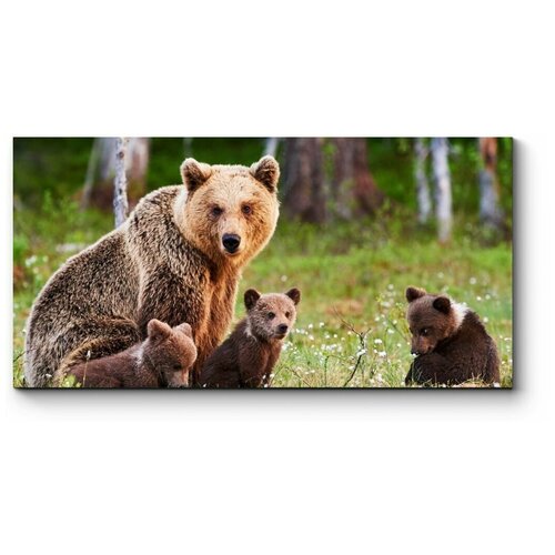 Модульная картина Семья очаровательных медведей 140x70