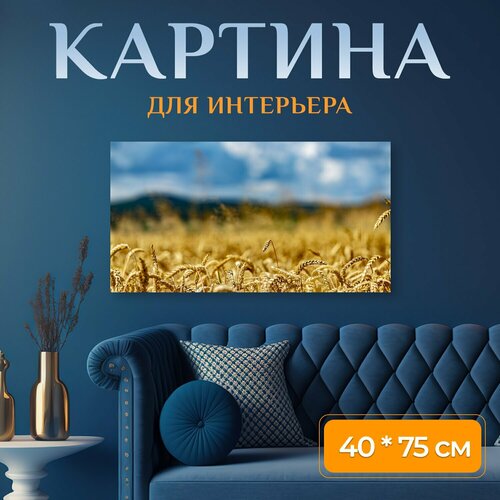 Картина на холсте "Пшеница, пшеничное поле, поля" на подрамнике 75х40 см. для интерьера