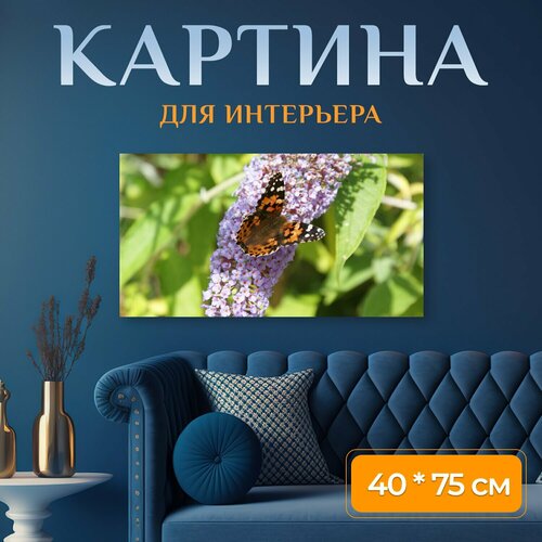 Картина на холсте "Нарисованная леди бабочка, насекомое, цветы" на подрамнике 75х40 см. для интерьера