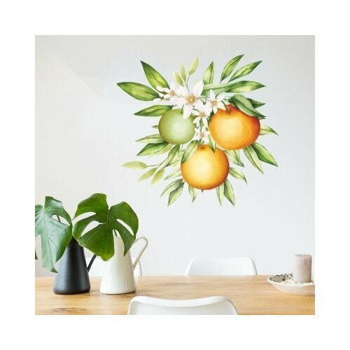 Наклейки на стену для кухни «Райские фрукты»