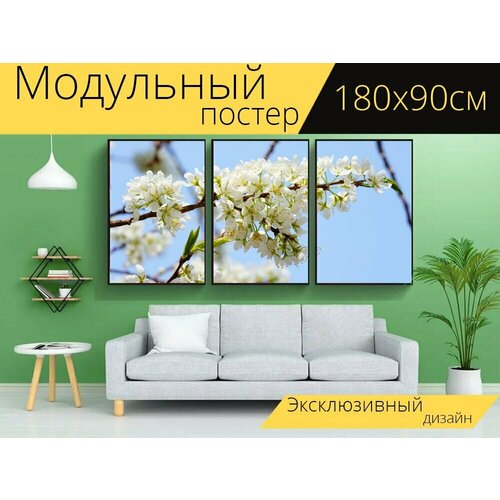 Модульный постер "Сливы, сливы цветок, весна" 180 x 90 см. для интерьера
